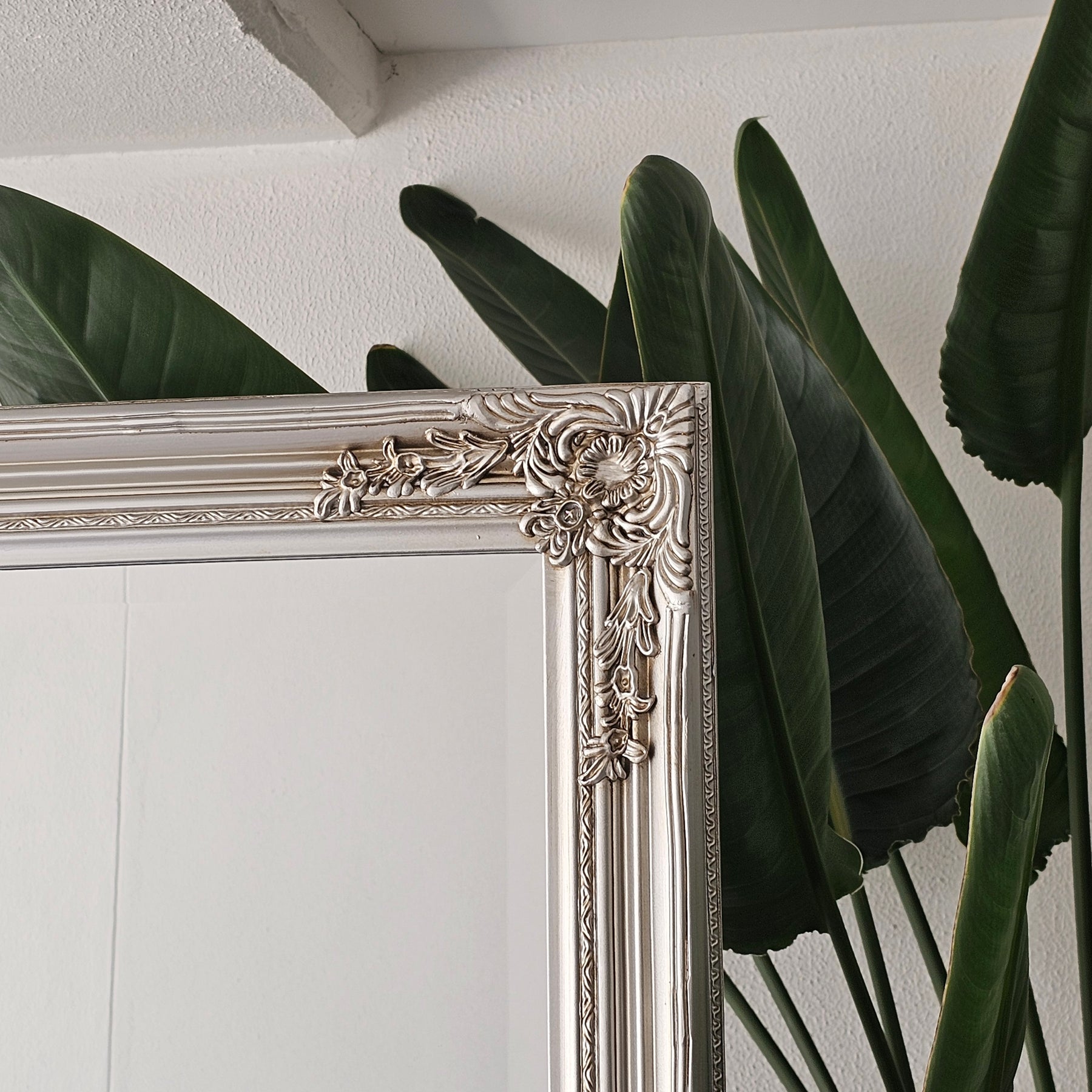 Vienna Mirror - Full Length French Provincial Mirror - Sydney Mirrors